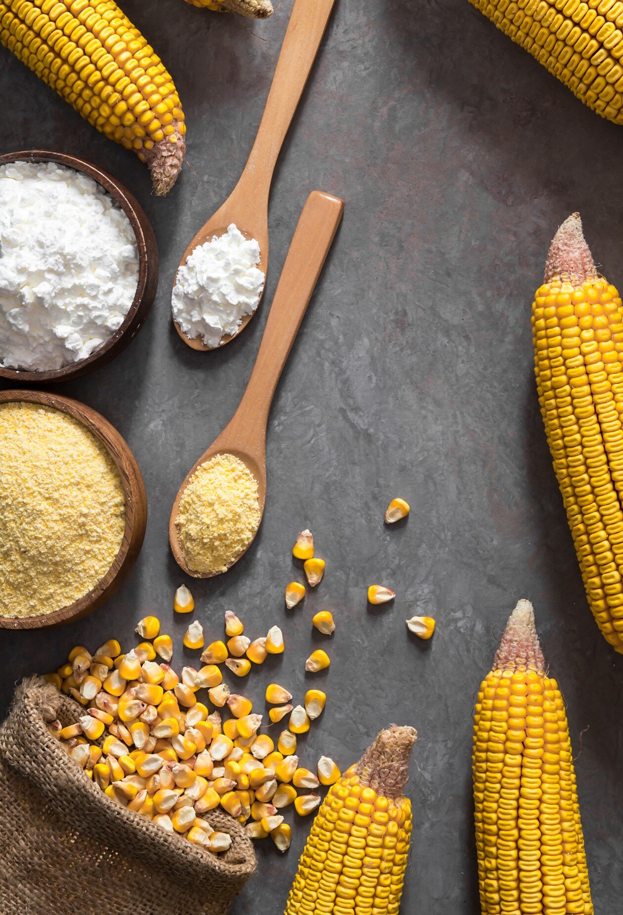 Multirex Pregelatinised Starch | Tekfood